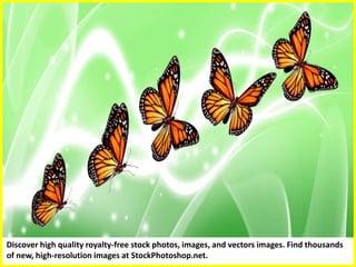 Find the Ultimate Collection of Stock Images at Stockphotoshop | PPTX