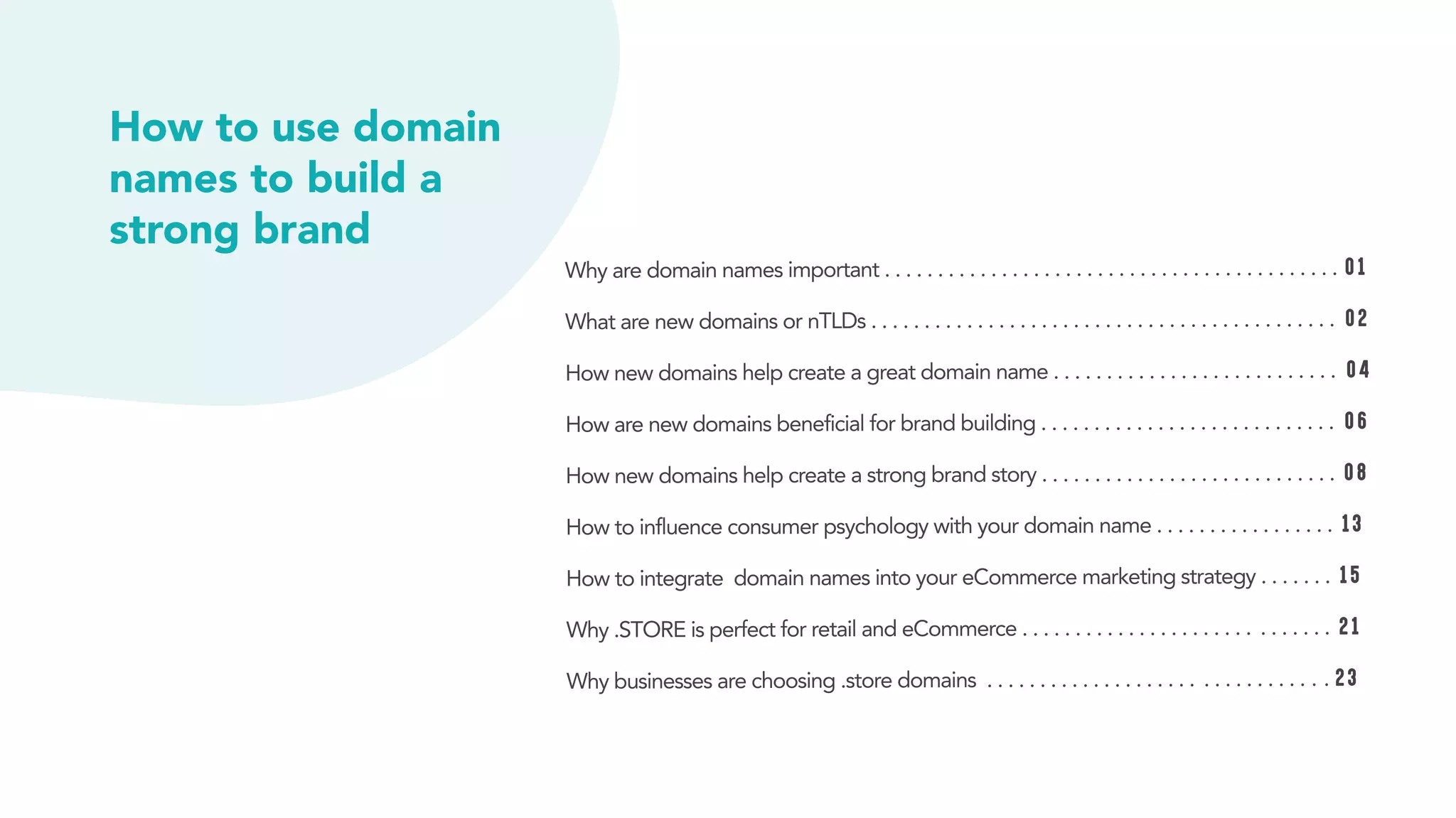 Ultimate domain name guide for e commerce | PPT