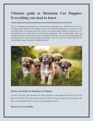 Ultimate guide to Mountain Cur Puppies: Everything you need to know.docx