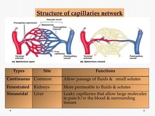 Lecture: Introduction of cardiovascular system | PPT