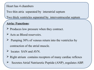 Lecture: Introduction of cardiovascular system | PPT