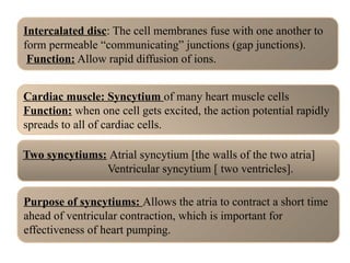 Lecture: Introduction of cardiovascular system | PPTX