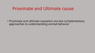ultimate nd proximate Cause of animal behaviour.pptx