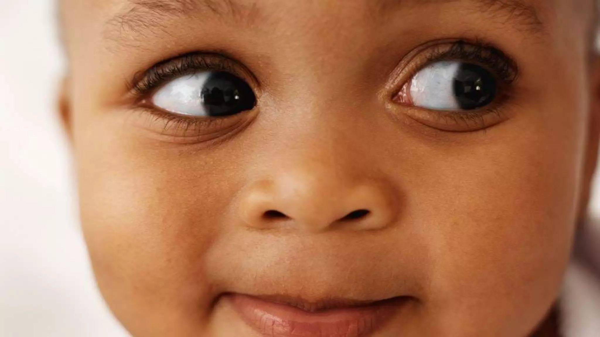 Ultimate Video Engineer 16x9 Test Pattern | PPTX | Cats | Pets