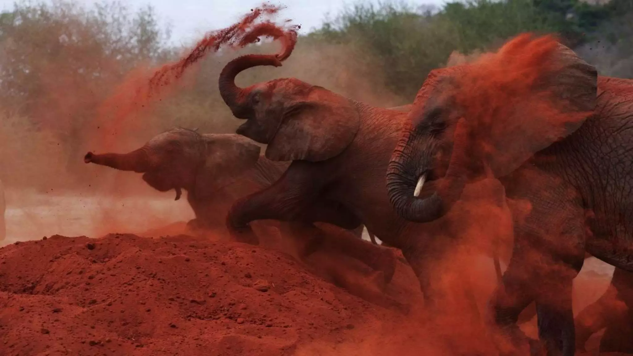 Ultimate Video Engineer 16x9 Test Pattern | PPTX