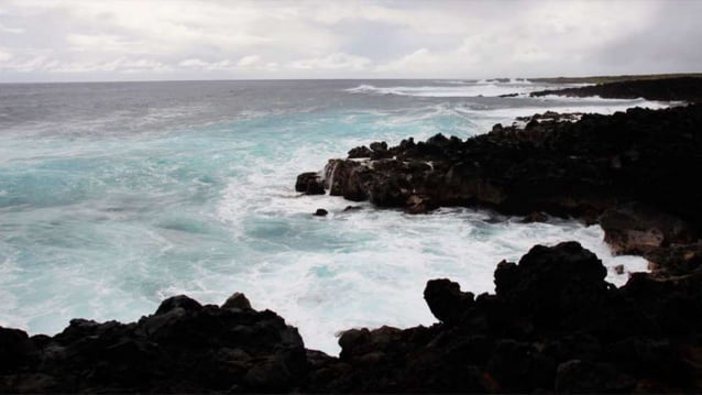 Ultimate Video Engineer 16x9 Test Pattern | PPTX | Cats | Pets