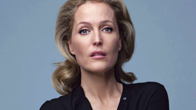 Ultimate Video Engineer 16x9 Test Pattern | PPTX | Cats | Pets