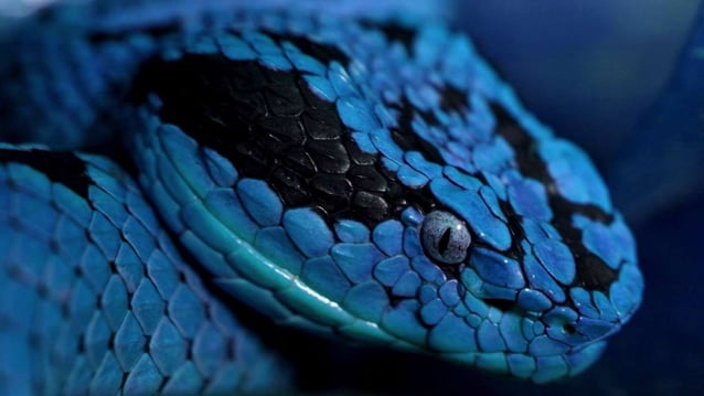 Ultimate Video Engineer 16x9 Test Pattern | PPT