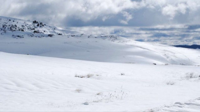 Ultimate Video Engineer 16x9 Test Pattern