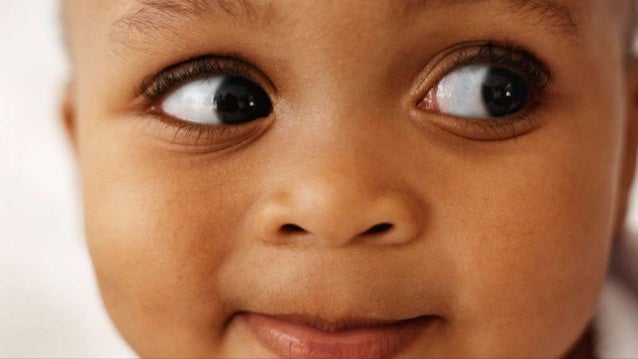 Ultimate Video Engineer 16x9 Test Pattern