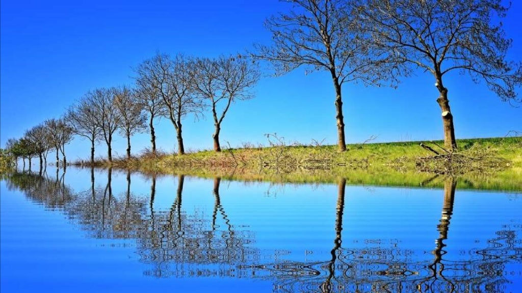 Ultimate Video Engineer 16x9 Test Pattern