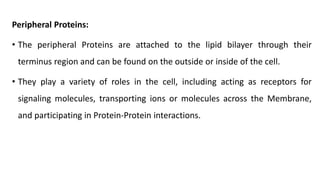 Ultra-structure and functions of plasma membrane.pptx