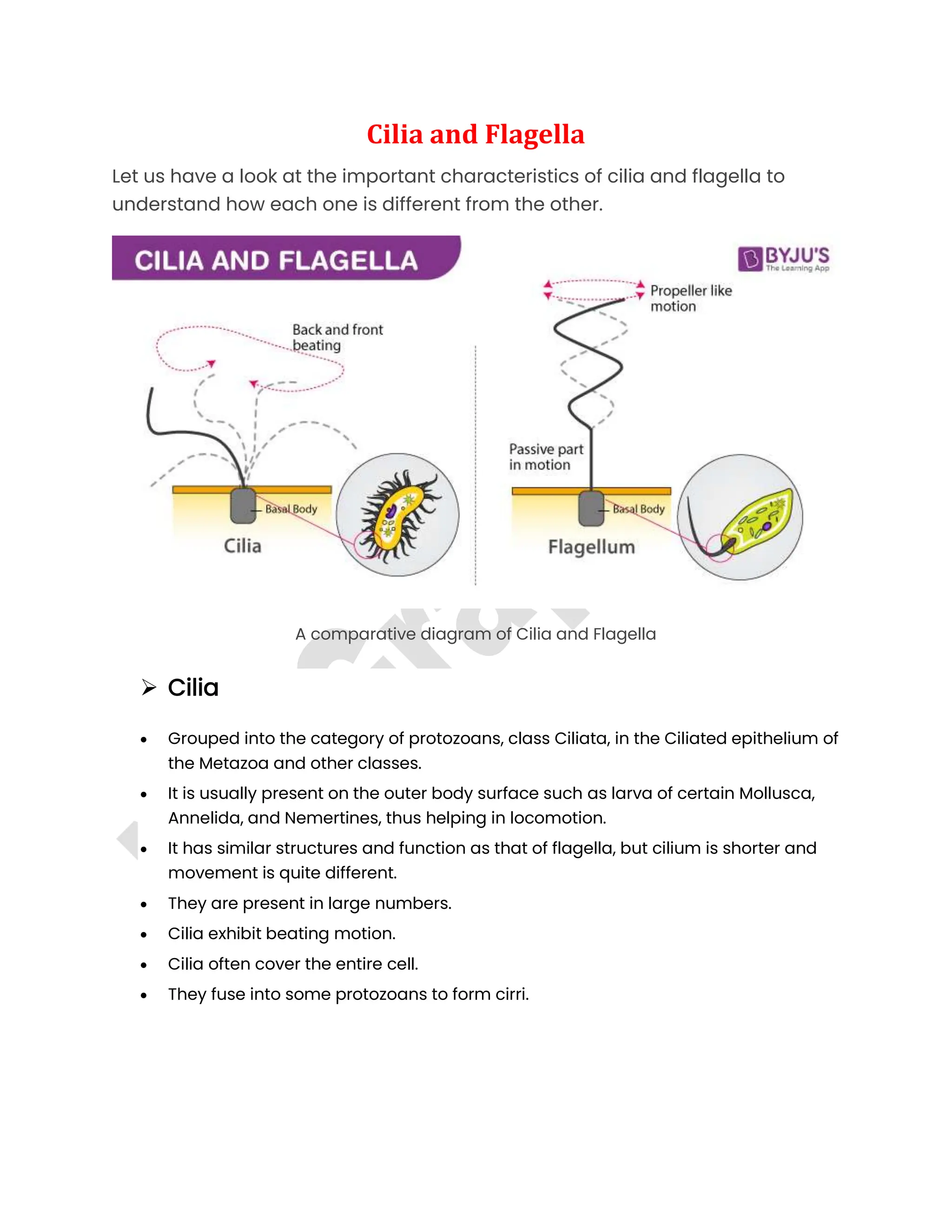 Ultra-Structure of Bacteria Cell, Wall, Structure & Functions for B.Sc ...