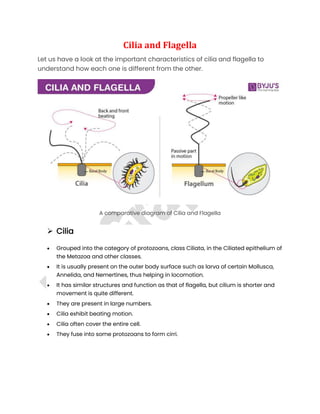 Ultra-Structure of Bacteria Cell, Wall, Structure & Functions | PDF
