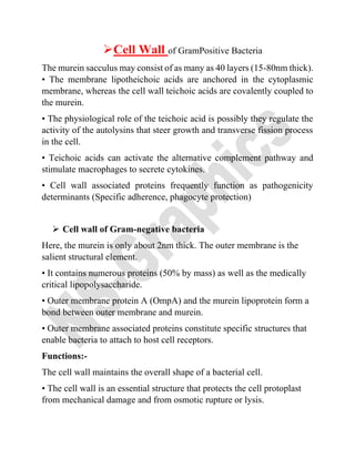 Ultra-Structure of Bacteria Cell, Wall, Structure & Functions | PDF