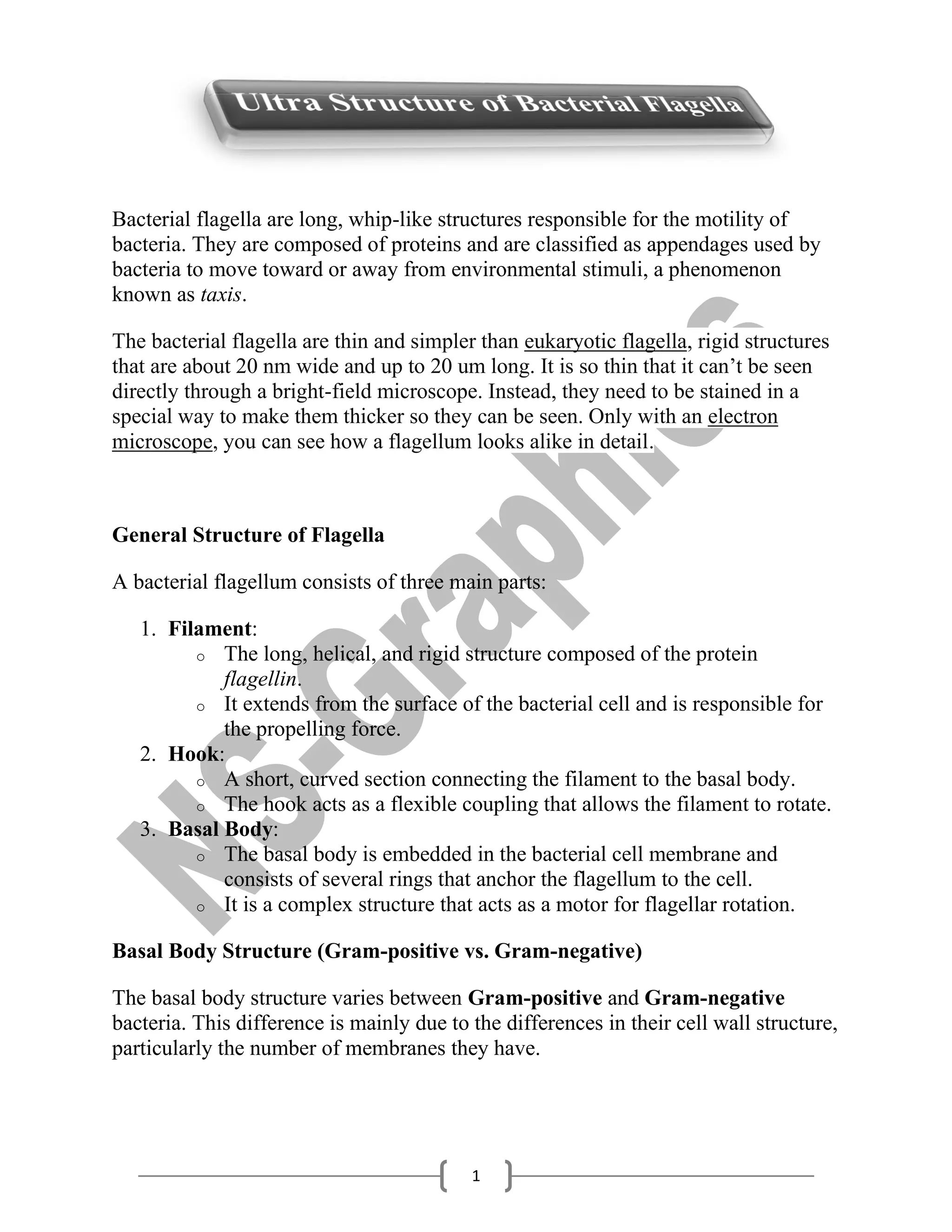 Ultra-Structure of Bacteria Flagella for B.Sc. Biotech/Botany Sem-3 | PDF