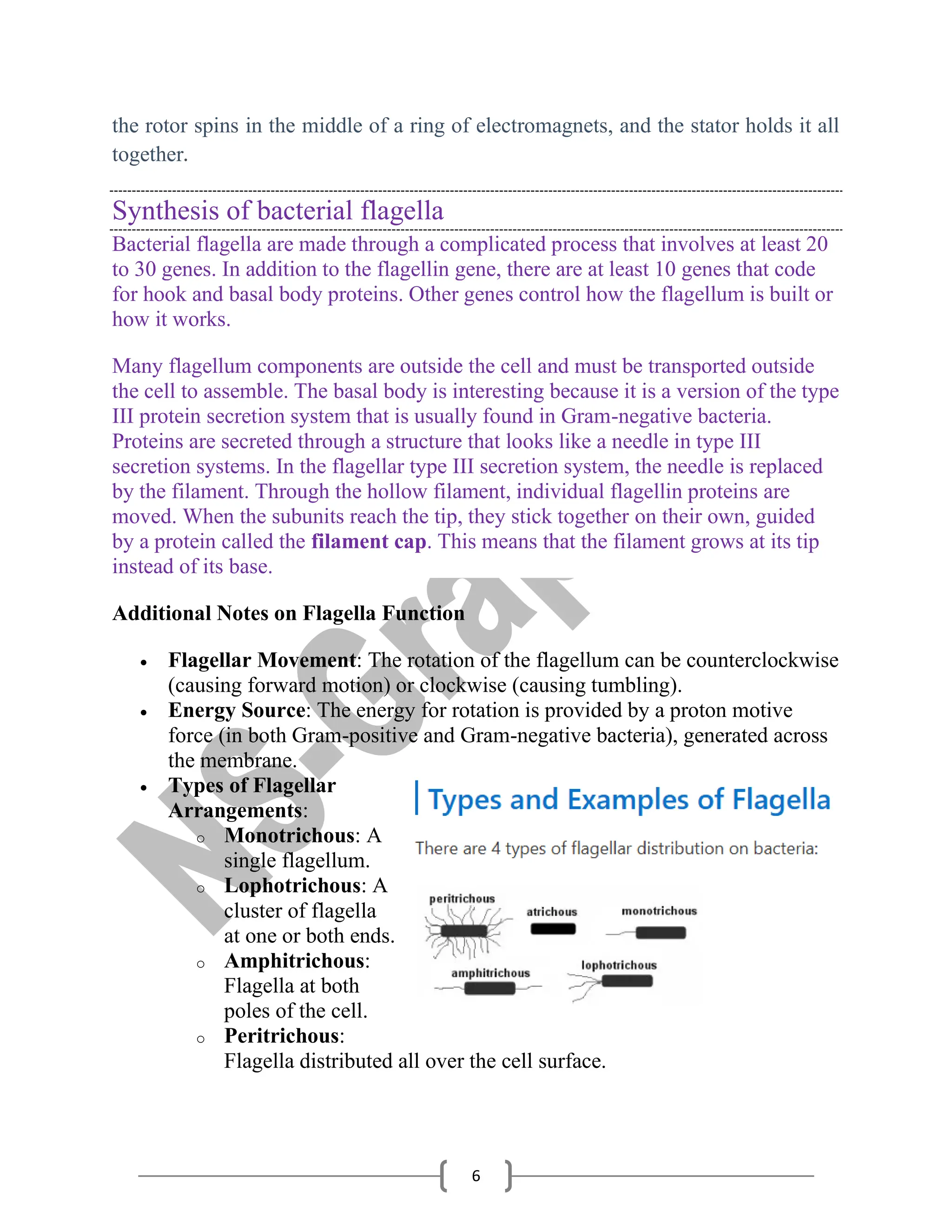 Ultra-Structure of Bacteria Flagella for B.Sc. Biotech/Botany Sem-3 | PDF