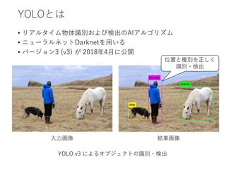 Good Arm FPGA Board Ultra96 and Google AI YOLO | PPT