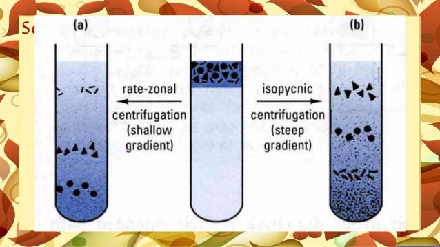 Ultracentrifugation