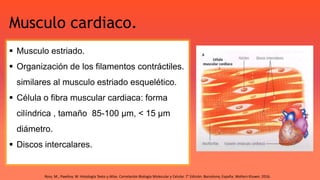 Ultraestructura Cardiaca fisiologia (1).pptx