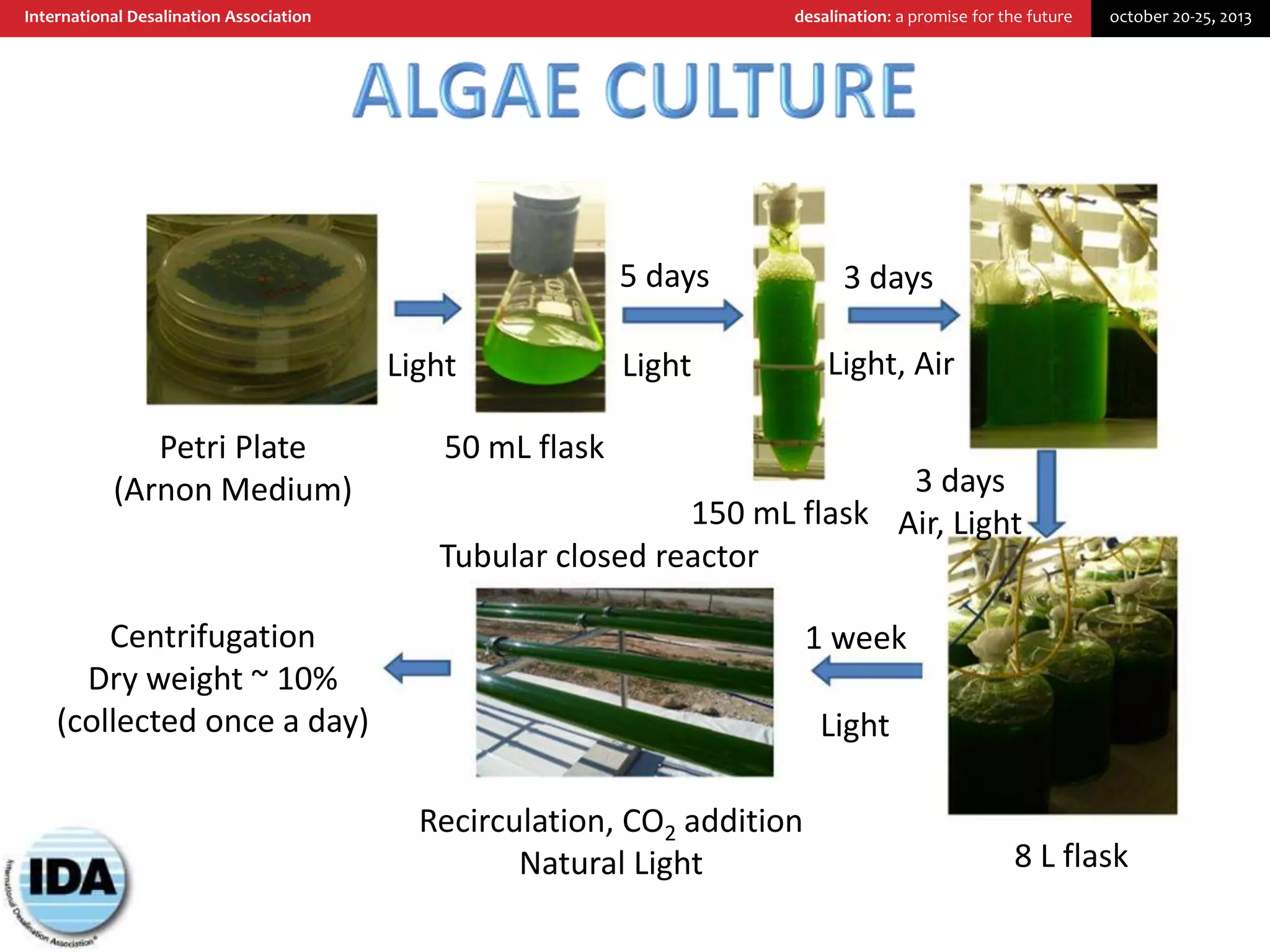 Ultrafiltration as pretreatment to reduce algae bloom in reverse ...