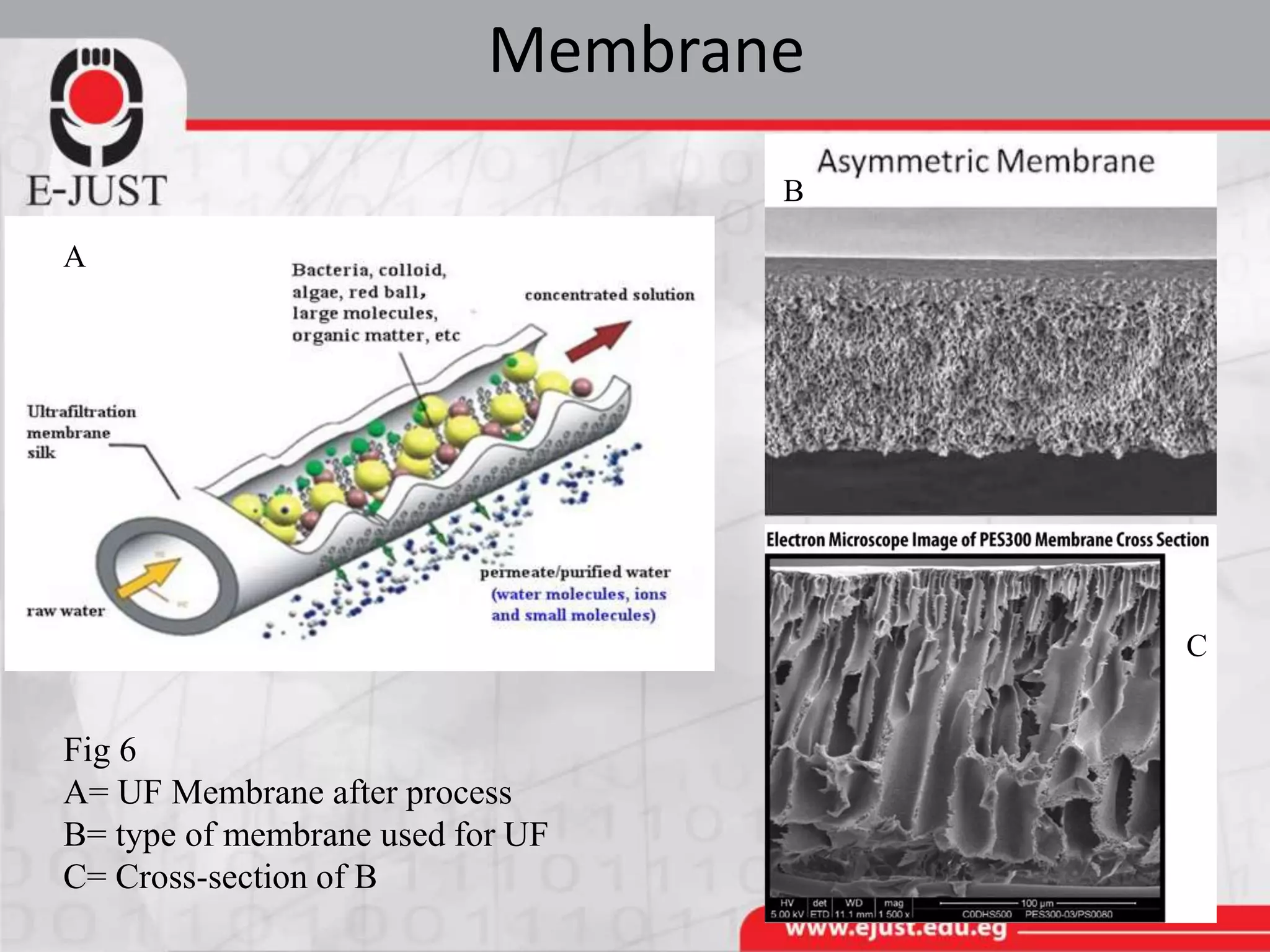 Ultrafiltration hamdiya orleans boham | PPT