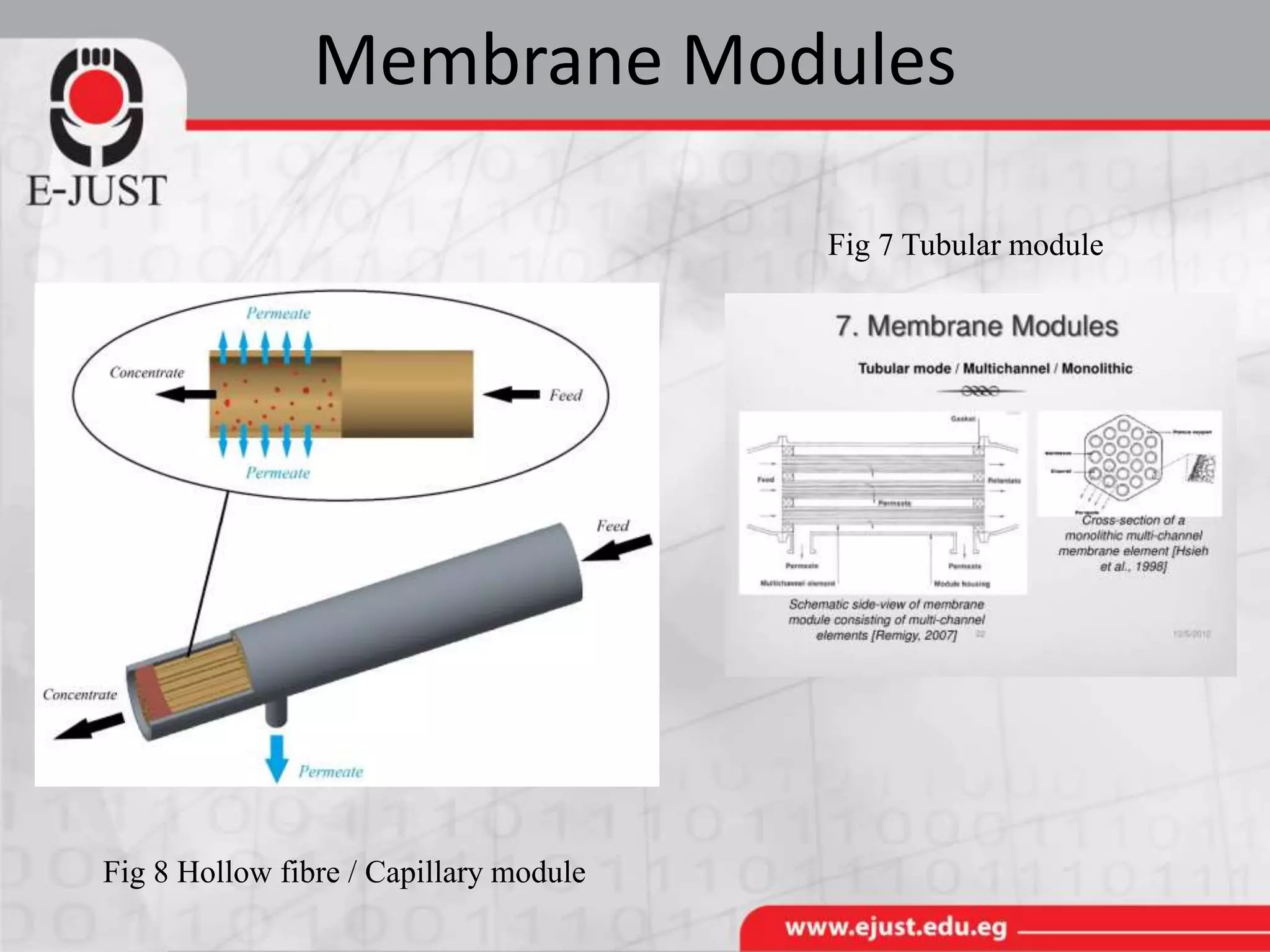 Ultrafiltration hamdiya orleans boham | PPT