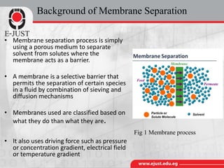 Ultrafiltration hamdiya orleans boham | PPT