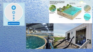 Ultra Fine Bubble Technology.pptx