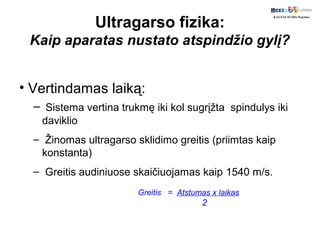 Ultragarso fizika | PPT