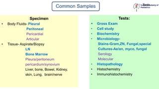 Ultra Lecture Tissue and Body Fluids.pptx