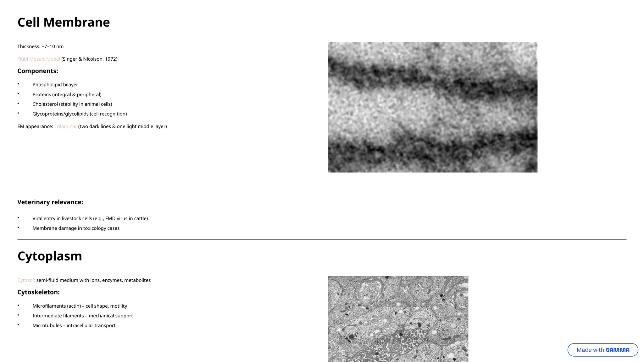Ultramicroscopic-Structure-of-cell (1).pptx