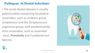 Ultramox - Ceforan New Campaigns presentation.pptx