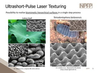 Ultrashort pulsed-laser textured tunnel and pipe outer surfaces | PDF | Physics | Science