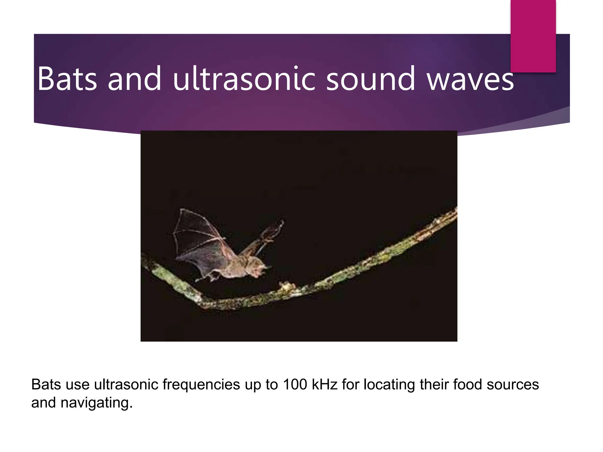 Ultrasonic and infrasonic waves for physics.pptx