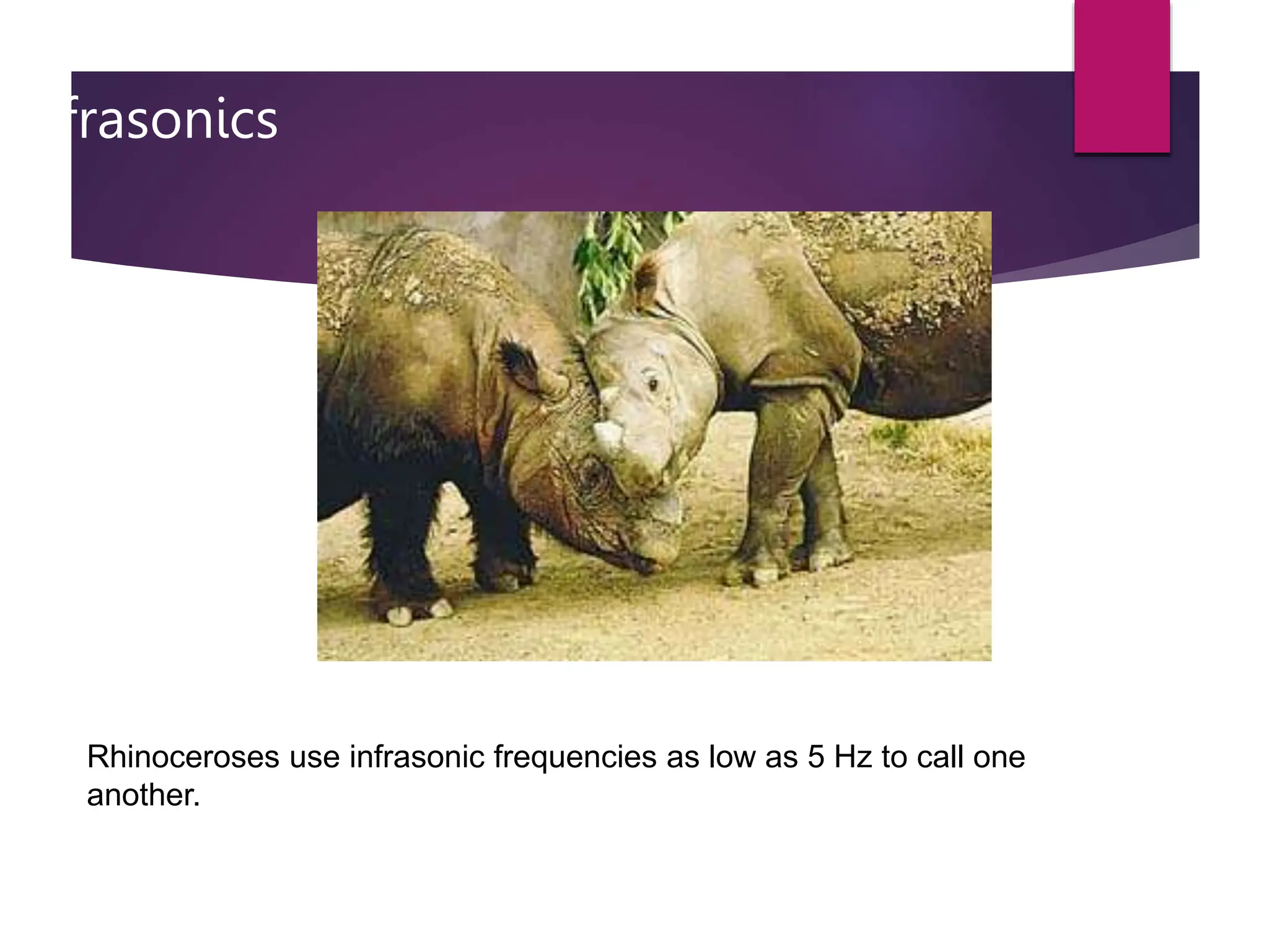 Ultrasonic and infrasonic waves for physics.pptx