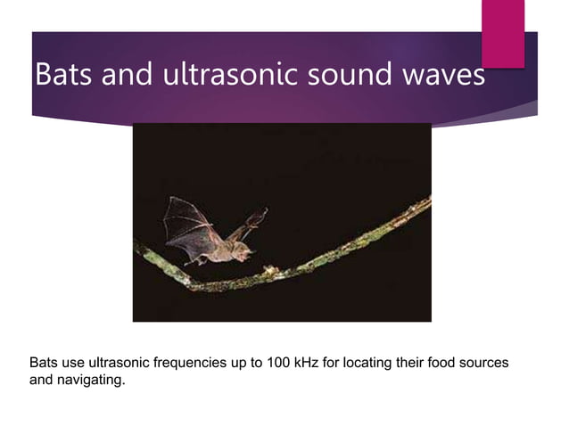 Ultrasonic and infrasonic waves for physics.pptx