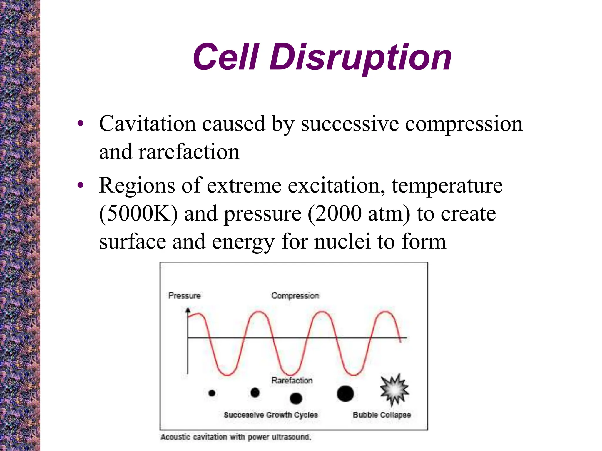 ultrasonication for cell distruption.ppt