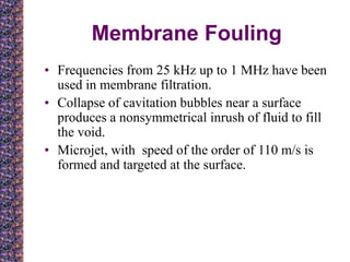 ultrasonication for cell distruption.ppt