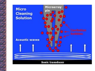 ultrasonication for cell distruption.ppt