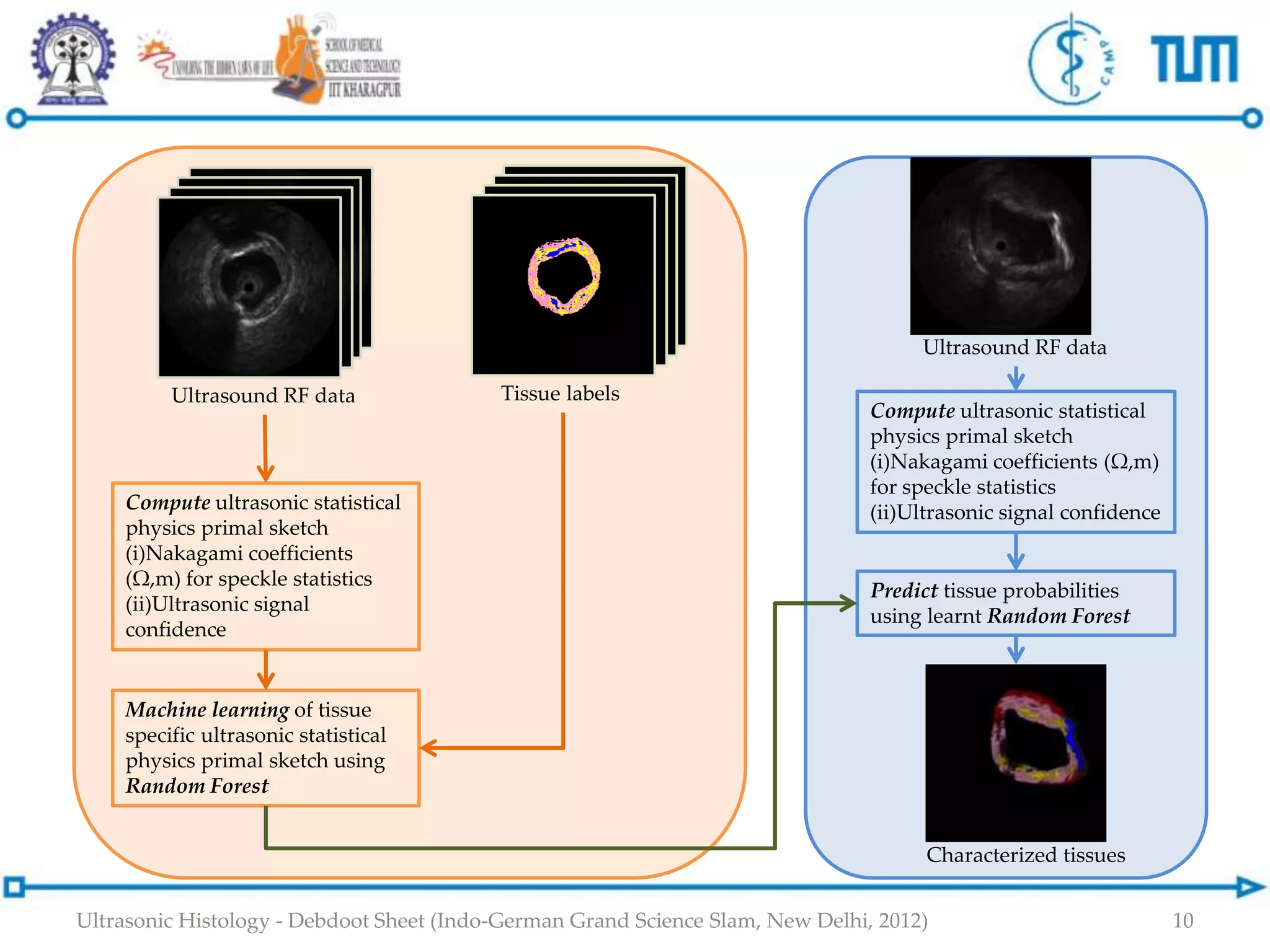 Ultrasonic Histology | PPTX