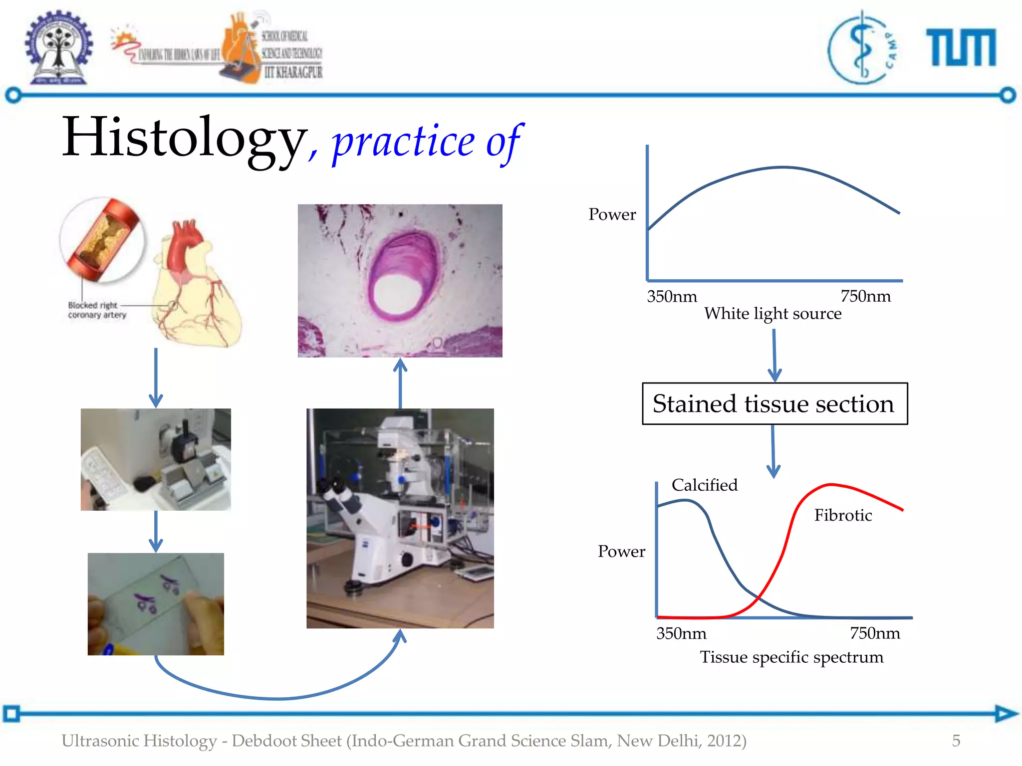 Ultrasonic Histology | PPTX