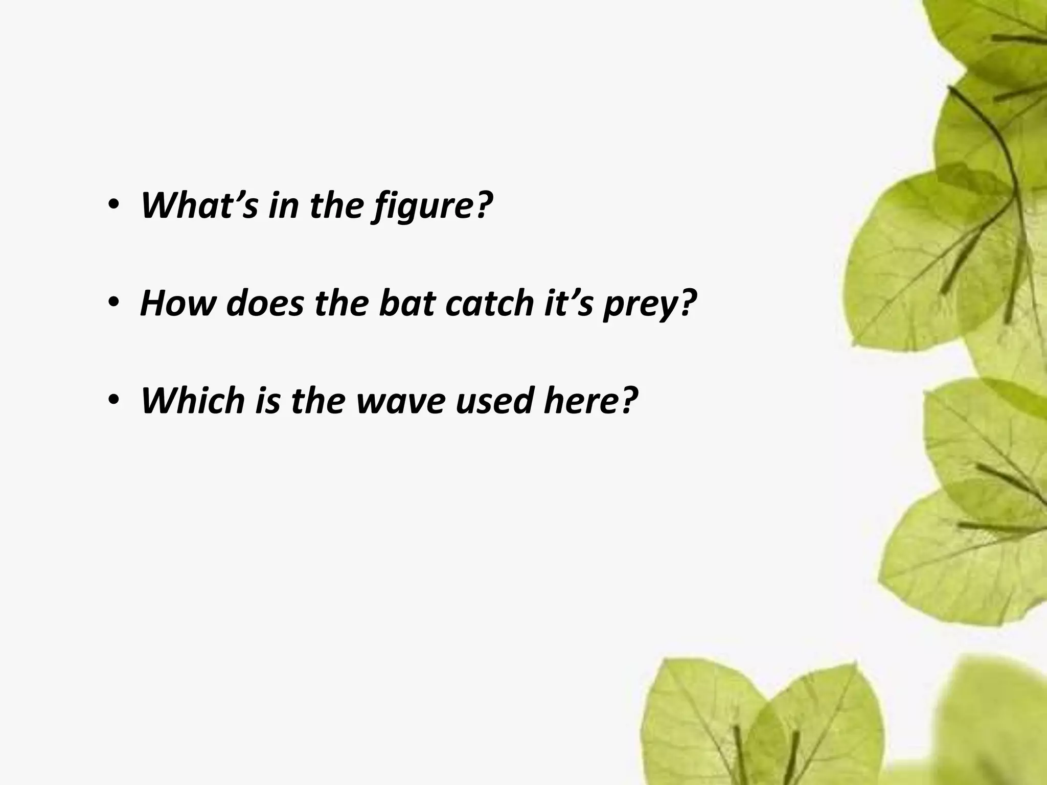 Ultrasonic Waves Pptx