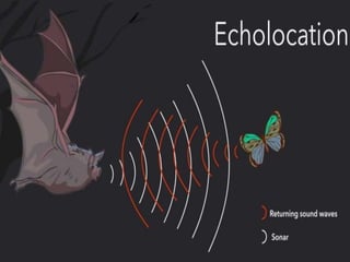 ultrasonic waves.pptx