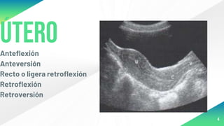 ULTRASONIDO PELVICO.pptx