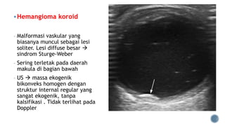 Ultrasonografi Okular yang Difokuskan pada Segmen Posterior Mata.pptx