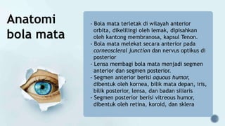 Ultrasonografi Okular yang Difokuskan pada Segmen Posterior Mata.pptx