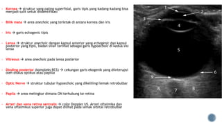 Ultrasonografi Okular yang Difokuskan pada Segmen Posterior Mata.pptx