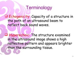 Rehabilitative Ultrasound Imaging: A musculoskeletal Perspective | PPT
