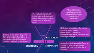 Ultrasonography - History, evolution and principles | PPTX